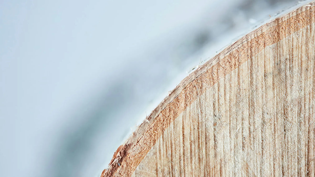 What is FSC®? – Forest Stewardship Council Certification | Hultafors